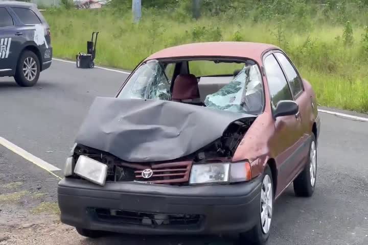 Video: conductor distraído transita por le paseo en Salinas y mata un ...