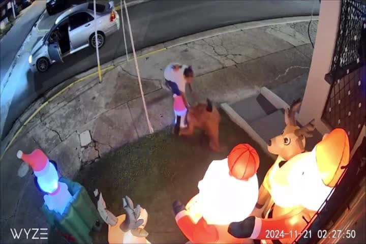 Viral video de “caco” robando inflables de navidad en PR | tunoticiatv.com