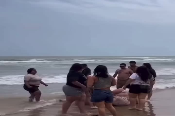 Video: Un día familiar en la playa tranquilo | tunoticiatv.com